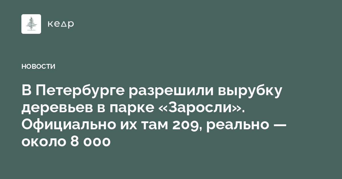 В Петербурге разрешили вырубку деревьев в парке «Заросли». Официально ...